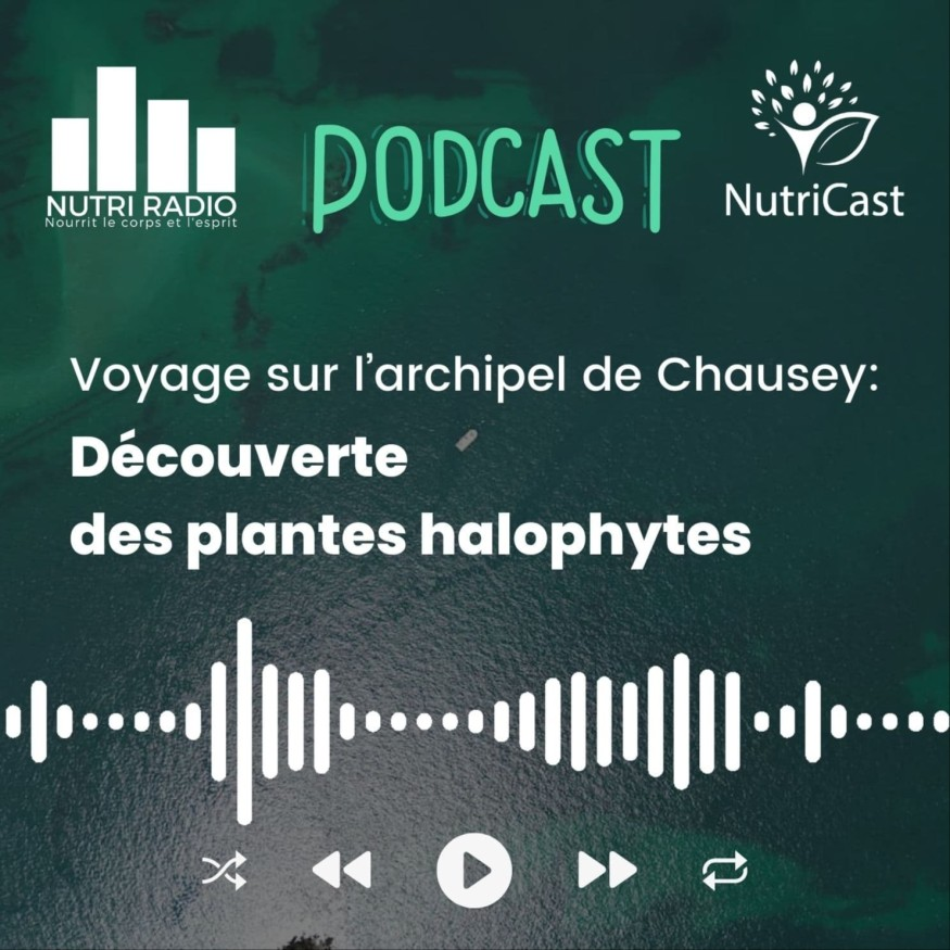 Voyage sur l'archipel de Chausey: Découverte des plantes halophytes ...